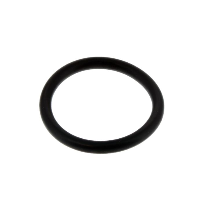 O-Ring for Interpump 44 Series Pump - OEM No. 90.3847.00 | L&S Engineers