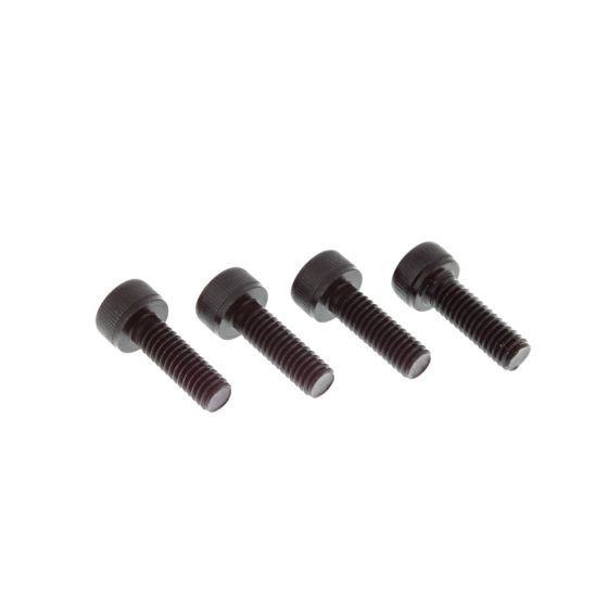 Screw (Pack of 4) for Hiretech HT7, HTF Floor Sanders - OEM No. 010010 ...