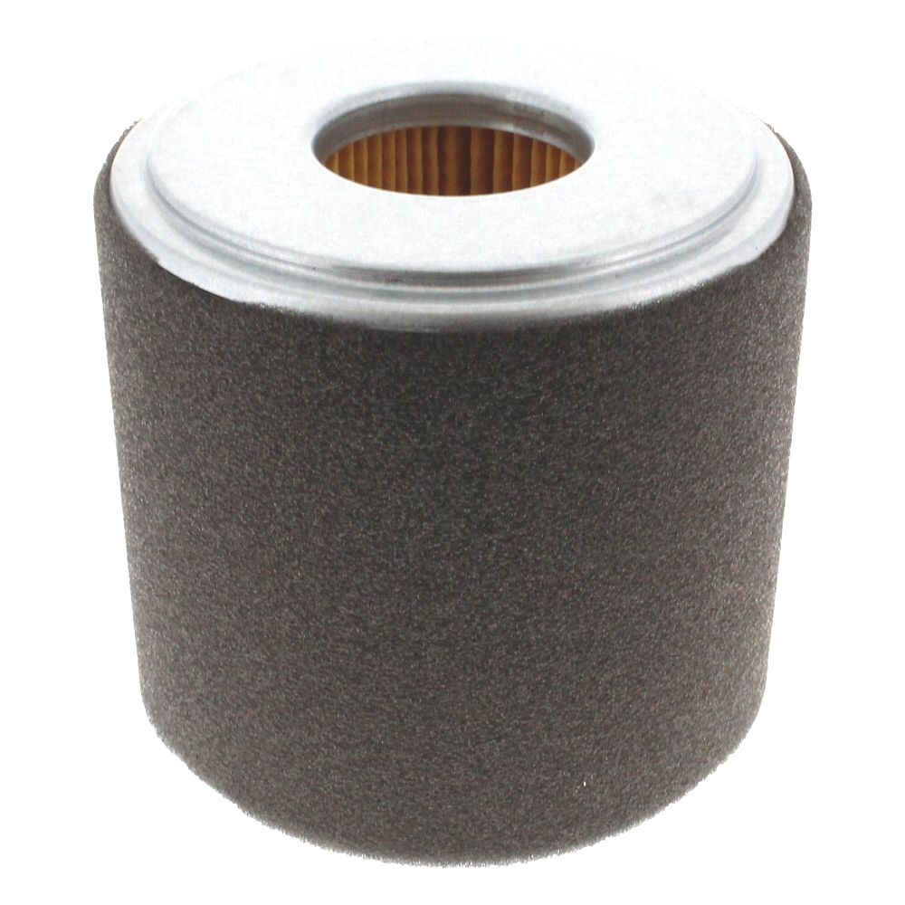 Engine Filter for Honda GX390 - OEM 17210-Z1C-781 | L&S