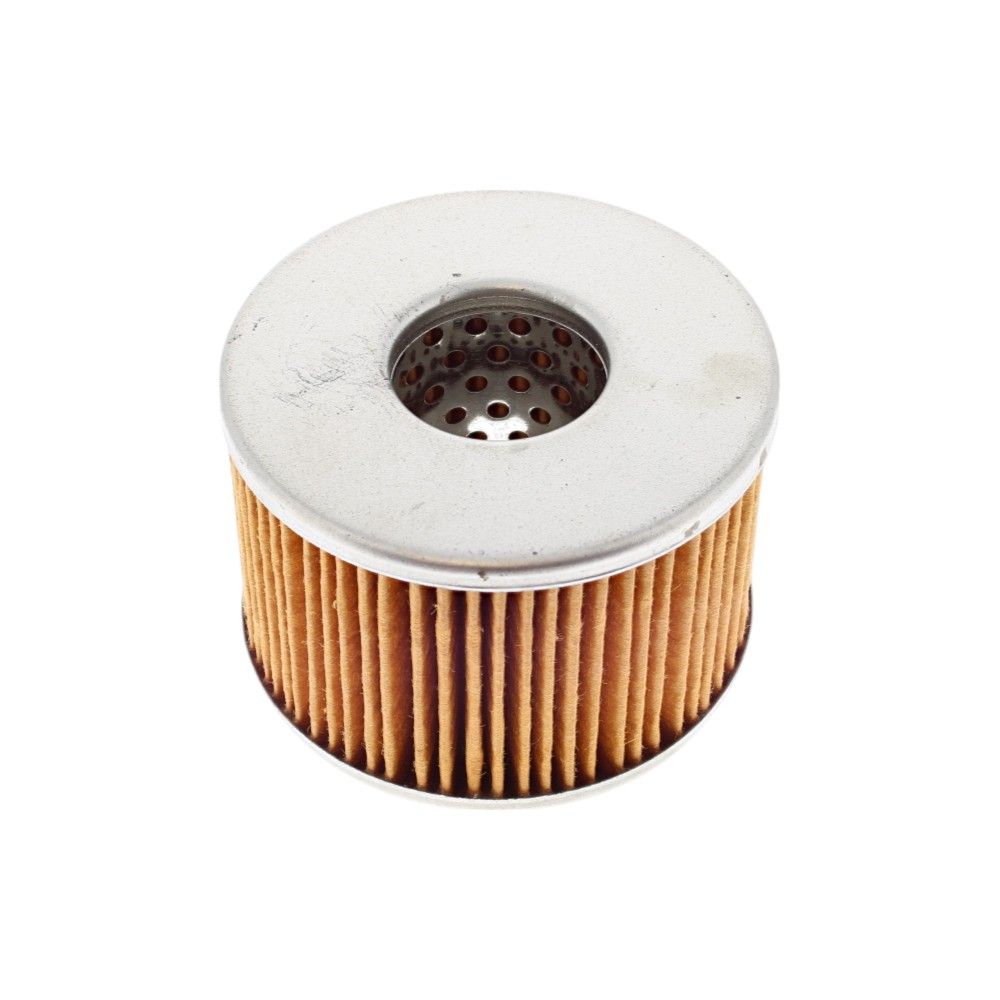 Fuel Filter for Lister Petter LT1, LT2, LV1 Engines - Replaces 20113118 ...